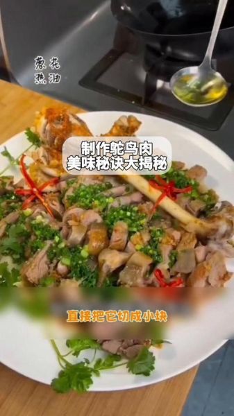 鸵鸟肉怎么做好吃_鸵鸟肉家常做法大全-第1张图片-山城妙识