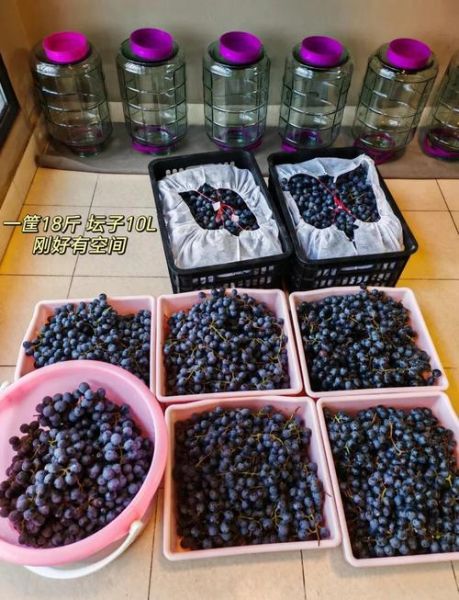 葡萄酒制作工艺_自酿葡萄酒步骤-第2张图片-山城妙识