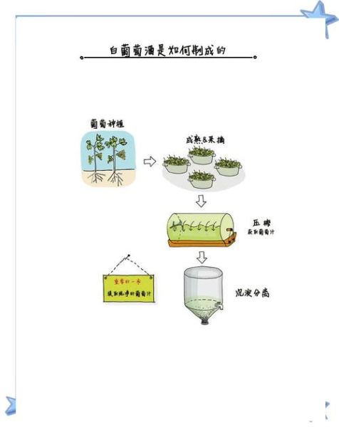 葡萄酒制作工艺_自酿葡萄酒步骤-第1张图片-山城妙识