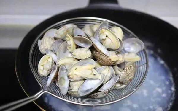 花蛤吐沙盐水比例_花蛤吐沙盐水比例是多少-第3张图片-山城妙识