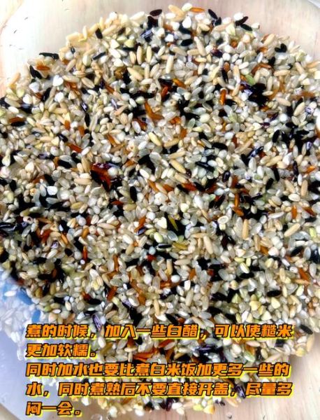 糙米饭用电饭锅怎么做_糙米饭电饭锅水量比例-第1张图片-山城妙识 糙米饭用电饭锅怎么做_糙米饭电饭锅水量比例-第1张图片-山城妙识