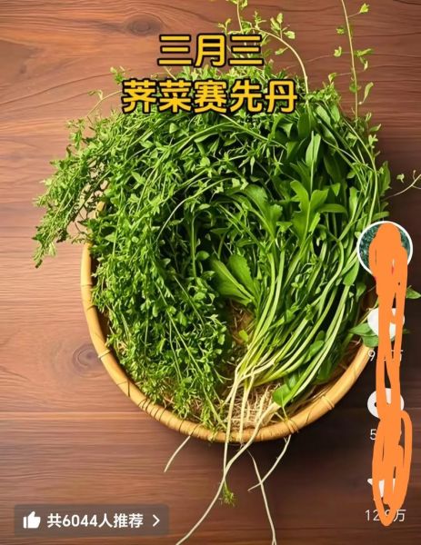 荠菜煮鸡蛋怎么做_荠菜煮鸡蛋的功效与禁忌-第3张图片-山城妙识