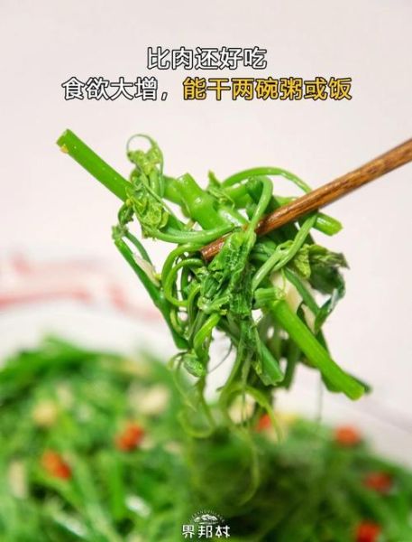 佛手瓜苗怎么炒好吃_佛手瓜苗凉拌做法-第2张图片-山城妙识