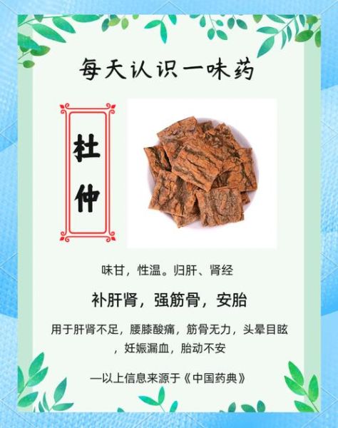 杜仲的功效与作用吃法_杜仲的禁忌有哪些-第1张图片-山城妙识