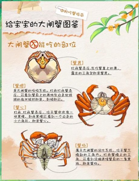 大闸蟹养殖技术_大闸蟹养殖周期多久-第2张图片-山城妙识