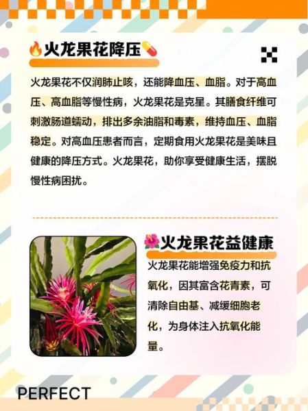 吃火龙果对身体有哪些好处_火龙果的功效与作用-第2张图片-山城妙识 吃火龙果对身体有哪些好处_火龙果的功效与作用-第2张图片-山城妙识