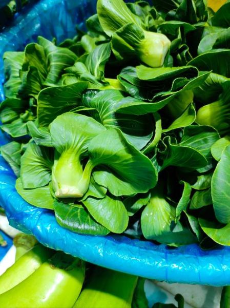 青菜图片大全大图实物图片_如何挑选新鲜青菜-第2张图片-山城妙识