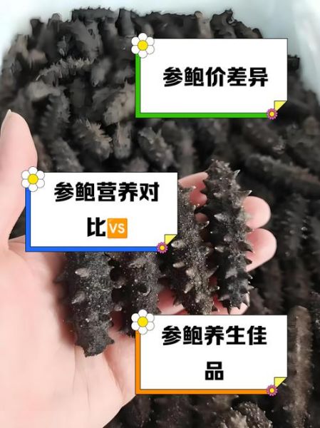 鲍鱼和海参哪个营养更好_海参和鲍鱼功效对比-第3张图片-山城妙识