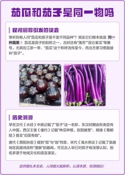茄瓜是茄子还是瓜_茄瓜图片怎么分辨真假-第1张图片-山城妙识