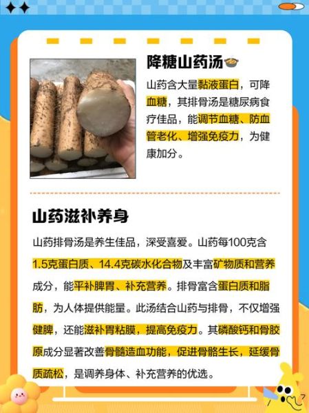 排骨炖山药的营养价值_孕妇能吃吗-第1张图片-山城妙识 排骨炖山药的营养价值_孕妇能吃吗-第1张图片-山城妙识