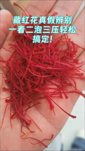 假藏红花泡水后什么颜色_如何辨别真假藏红花-第3张图片-山城妙识 假藏红花泡水后什么颜色_如何辨别真假藏红花-第3张图片-山城妙识