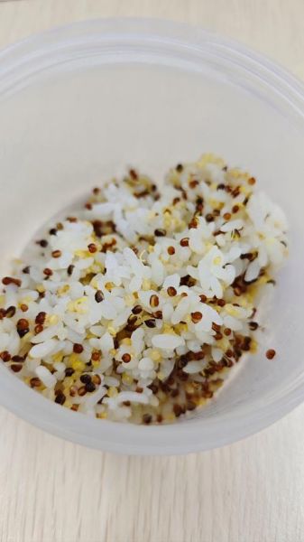 藜麦需要提前泡吗_藜麦怎么煮不苦-第1张图片-山城妙识