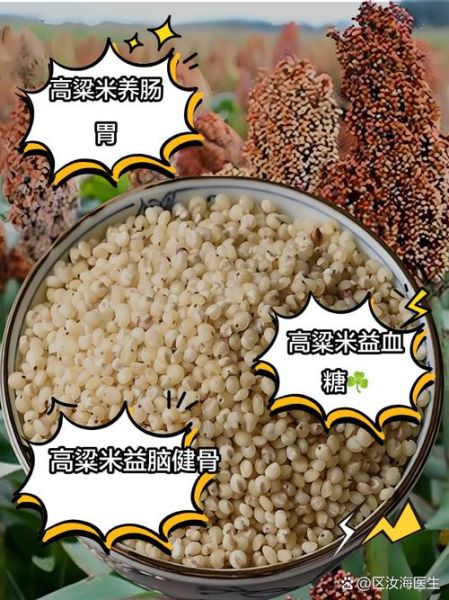 长期吃高粱米有什么危害_高粱米吃多了会便秘吗-第2张图片-山城妙识 长期吃高粱米有什么危害_高粱米吃多了会便秘吗-第2张图片-山城妙识