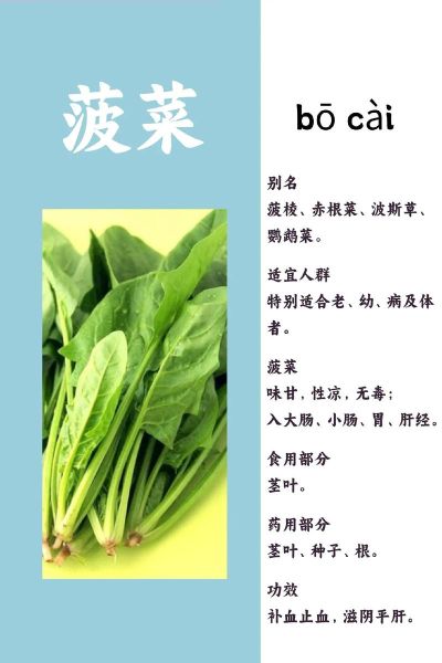 菠菜的功效与作用_菠菜怎么吃最有营养-第1张图片-山城妙识 菠菜的功效与作用_菠菜怎么吃最有营养-第1张图片-山城妙识