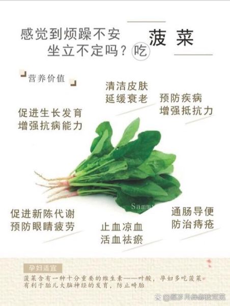 菠菜的功效与作用_菠菜怎么吃最有营养-第3张图片-山城妙识 菠菜的功效与作用_菠菜怎么吃最有营养-第3张图片-山城妙识