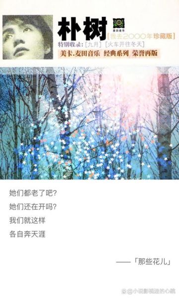 洋葱歌词表达了什么情感_如何理解一层一层-第1张图片-山城妙识 洋葱歌词表达了什么情感_如何理解一层一层-第1张图片-山城妙识