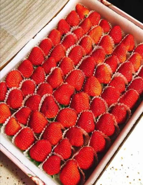 丹东草莓为什么好吃_丹东草莓多少钱一斤-第1张图片-山城妙识 丹东草莓为什么好吃_丹东草莓多少钱一斤-第1张图片-山城妙识