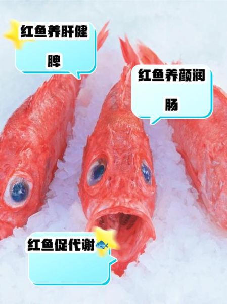 大红鱼视频怎么下载_大红鱼视频在线观看-第2张图片-山城妙识