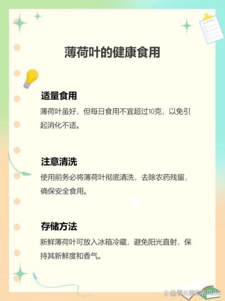 薄荷叶子怎么吃_新鲜薄荷叶怎么吃最好-第3张图片-山城妙识