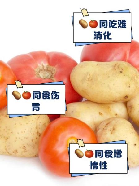 番茄炒土豆会中毒吗_番茄和土豆一起吃安全吗-第1张图片-山城妙识 番茄炒土豆会中毒吗_番茄和土豆一起吃安全吗-第1张图片-山城妙识