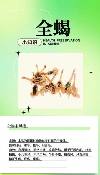 全蝎的功效与作用是什么_全蝎能治哪些病-第1张图片-山城妙识