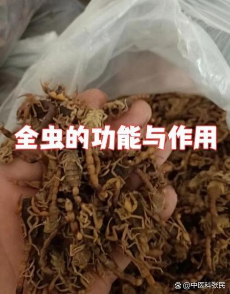 全蝎的功效与作用是什么_全蝎能治哪些病-第2张图片-山城妙识