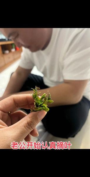 腌香椿咸菜的做法大全_香椿咸菜怎么保存-第2张图片-山城妙识