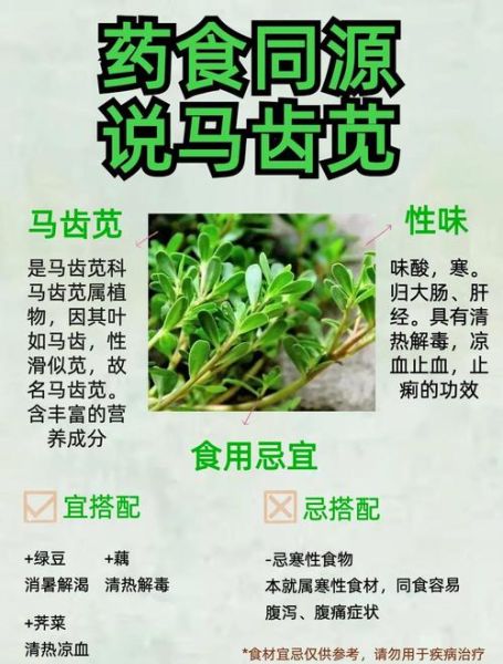 马齿苋的功效与作用_马齿苋怎么吃最好-第1张图片-山城妙识