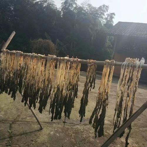 芽菜是梅干菜吗_两者区别与联系-第3张图片-山城妙识