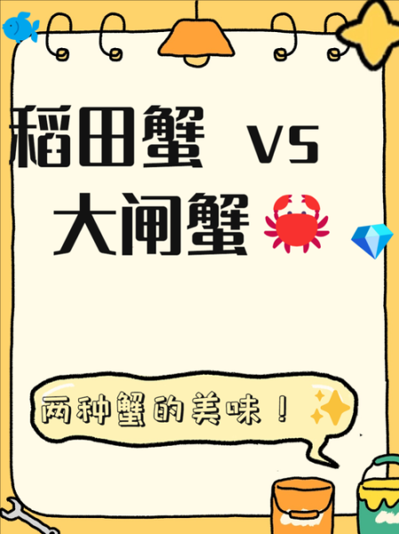 稻田蟹和大闸蟹的区别_哪个更好吃-第1张图片-山城妙识 稻田蟹和大闸蟹的区别_哪个更好吃-第1张图片-山城妙识