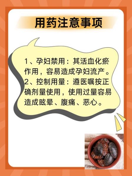 土鳖虫吃什么食物_土鳖虫饲料配方-第3张图片-山城妙识 土鳖虫吃什么食物_土鳖虫饲料配方-第3张图片-山城妙识