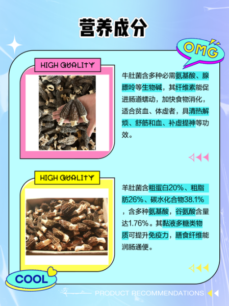 牛肚菌长什么样_如何辨别真假牛肚菌-第1张图片-山城妙识