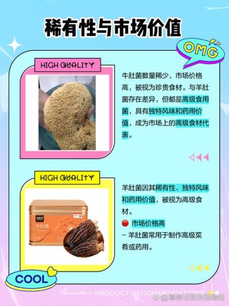 牛肚菌长什么样_如何辨别真假牛肚菌-第2张图片-山城妙识