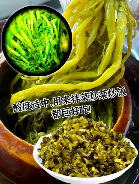 雪里红是什么菜_雪里红怎么做好吃-第1张图片-山城妙识