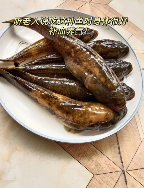 跳水鱼为什么叫跳水鱼_跳水鱼的由来-第2张图片-山城妙识