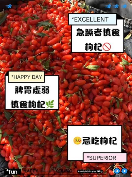 什么人不能吃枸杞_枸杞禁忌人群有哪些-第2张图片-山城妙识 什么人不能吃枸杞_枸杞禁忌人群有哪些-第2张图片-山城妙识