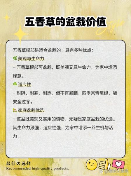 五香草是什么_五香草怎么吃最好-第1张图片-山城妙识 五香草是什么_五香草怎么吃最好-第1张图片-山城妙识