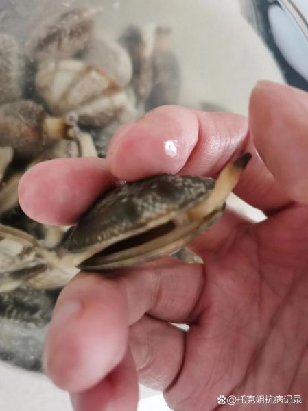 花甲泡了一夜全死了_还能吃吗-第1张图片-山城妙识