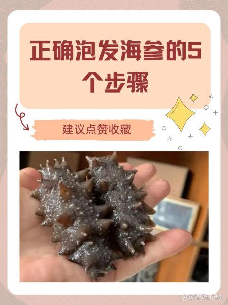 海参怎么泡发变大_海参泡发多久才最大-第2张图片-山城妙识