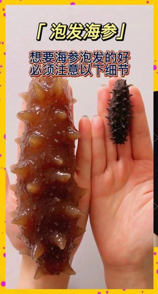 海参怎么泡发变大_海参泡发多久才最大-第3张图片-山城妙识