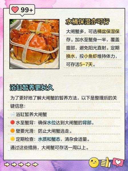 大闸蟹怎么保存不会死_大闸蟹能活多久-第2张图片-山城妙识