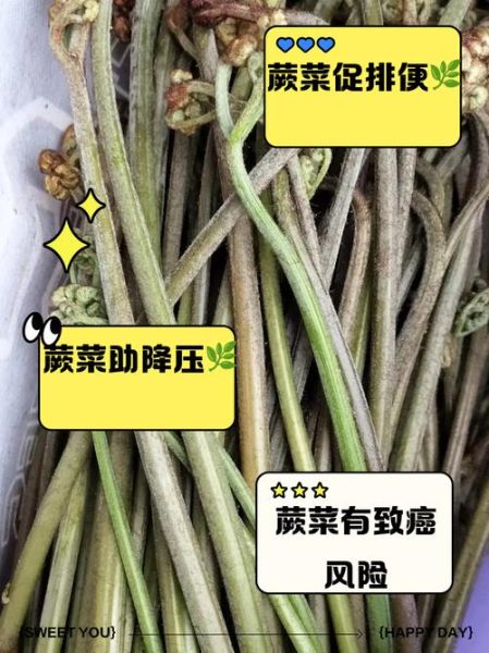 蕨菜致癌吗_千万别乱吃它了-第2张图片-山城妙识