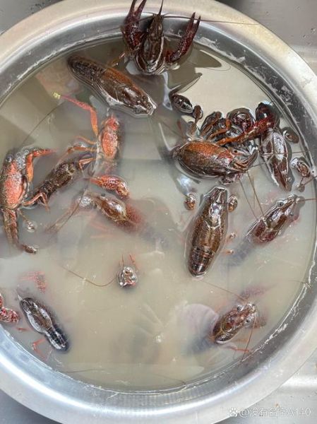 大龙虾怎么清洗_大龙虾怎么做才好吃-第3张图片-山城妙识