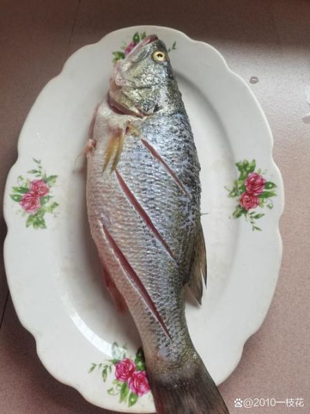 淡水鲈鱼吃什么食物_淡水鲈鱼最爱吃什么-第2张图片-山城妙识