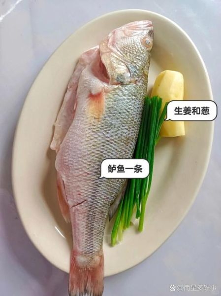 淡水鲈鱼吃什么食物_淡水鲈鱼最爱吃什么-第3张图片-山城妙识