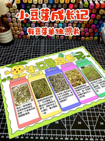 黄豆芽怎么种_黄豆芽生长观察日记-第3张图片-山城妙识 黄豆芽怎么种_黄豆芽生长观察日记-第3张图片-山城妙识