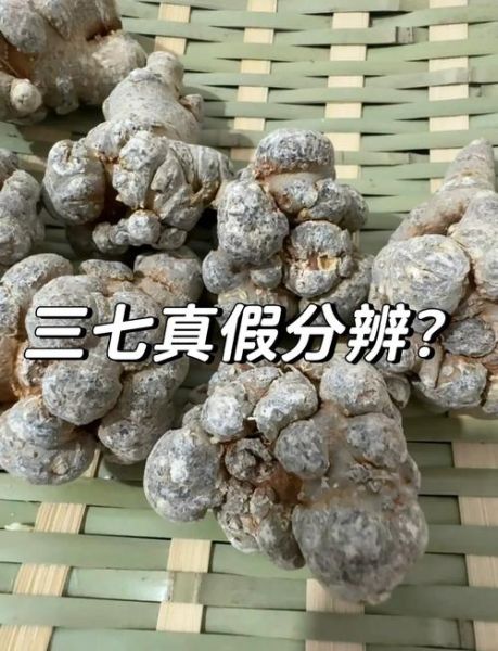 正宗三七图片_如何辨别真假-第1张图片-山城妙识