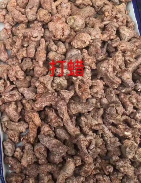 正宗三七图片_如何辨别真假-第3张图片-山城妙识