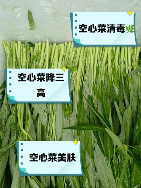 空心菜的营养价值_空心菜的功效与作用-第1张图片-山城妙识