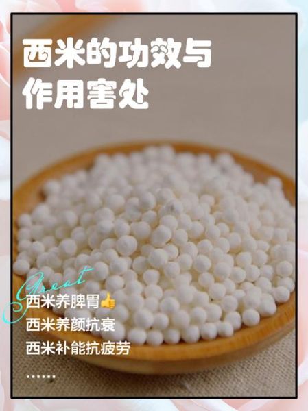 西米有什么功效与作用_西米多少钱一斤-第1张图片-山城妙识